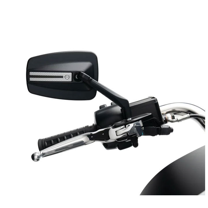 Switchback™ 미러 - 클리어 아노다이즈드-56000344